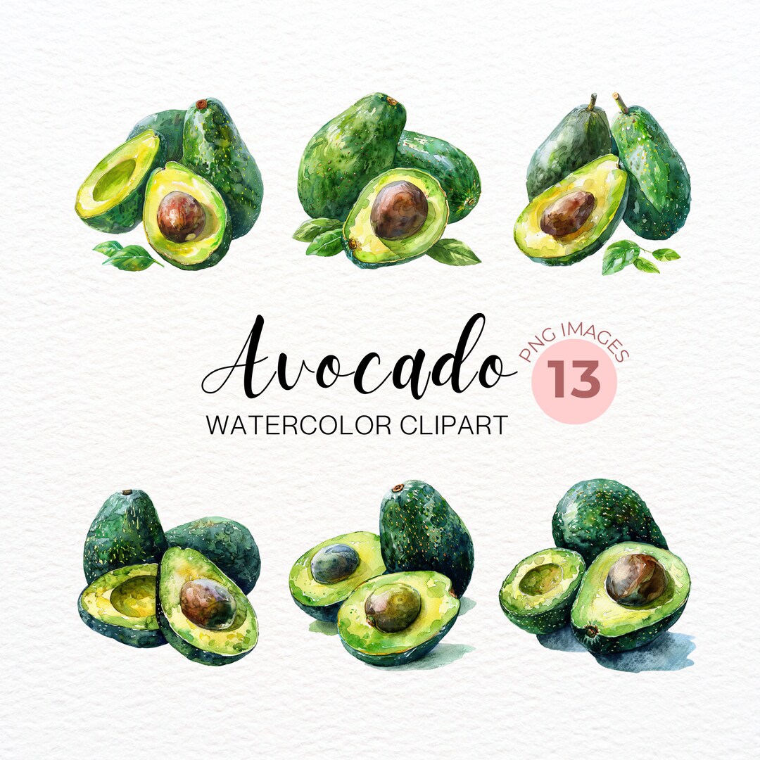 Avocado Watercolor, Avocado Clip Art, Avocado Clipart, Cute Fruit ...