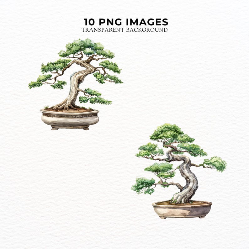 10 Bonsai Tree Clipart, Mini Tree Clipart, Printable Watercolor Clipart ...