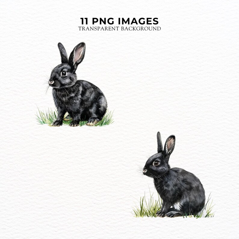 11 Black Bunny Watercolor Clipart, Rabbit Clipart, Printable Watercolor ...