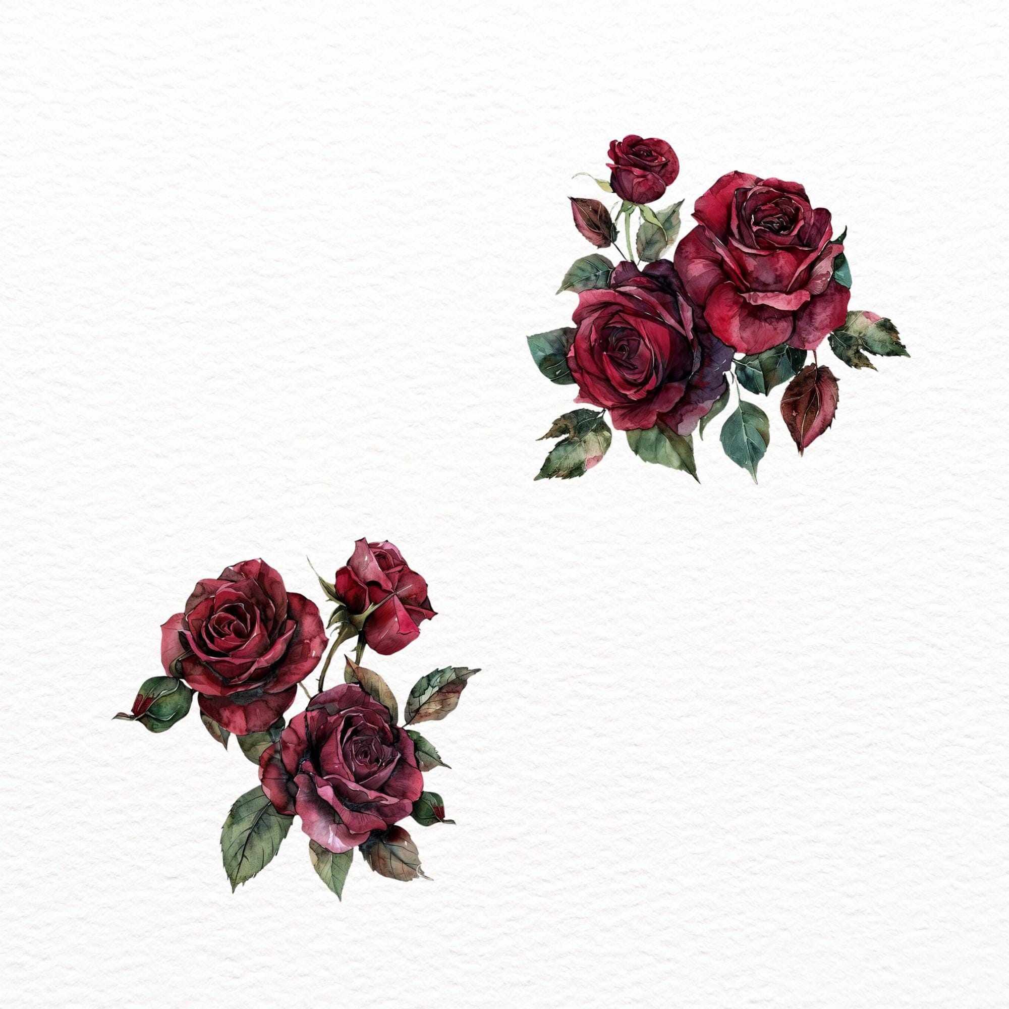 11 Watercolor Burgundy Roses Clipart, Watercolor Rose Floral Clipart ...