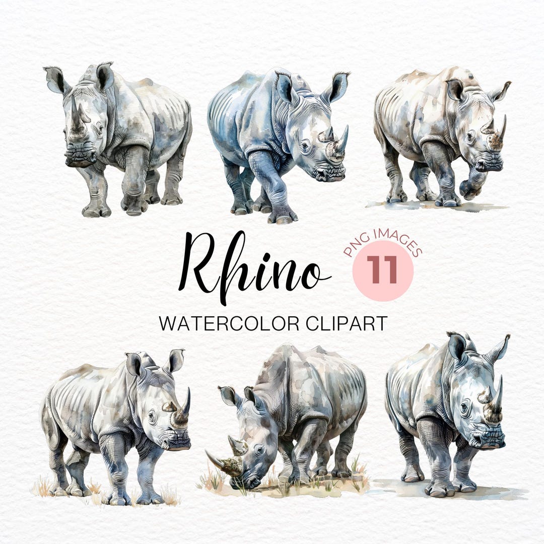 11 Rhino Clipart, Rhino, Watercolor Rhinoceros, Printable Watercolor ...