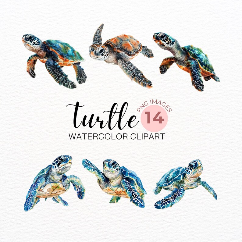 14 Watercolor Turtle Clipart, Marine Turtle, Printable Watercolor ...