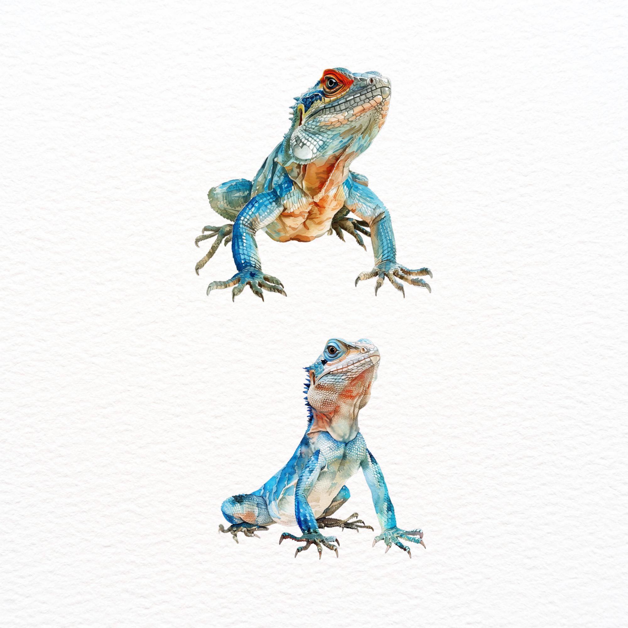 10 Watercolor Bearded Dragon Clipart, Bearded Dragon Png, Printable ...