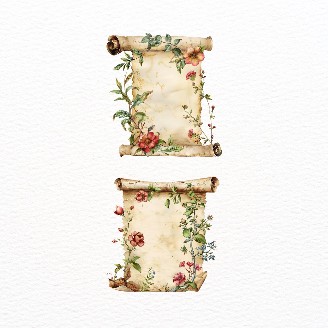 10 Medieval Scroll Clipart, Vintage Scroll, Printable Watercolor ...