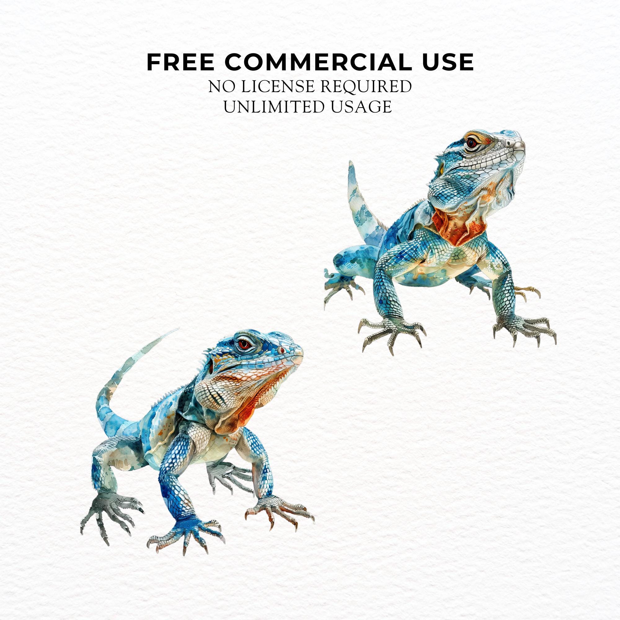 10 Watercolor Bearded Dragon Clipart, Bearded Dragon Png, Printable ...