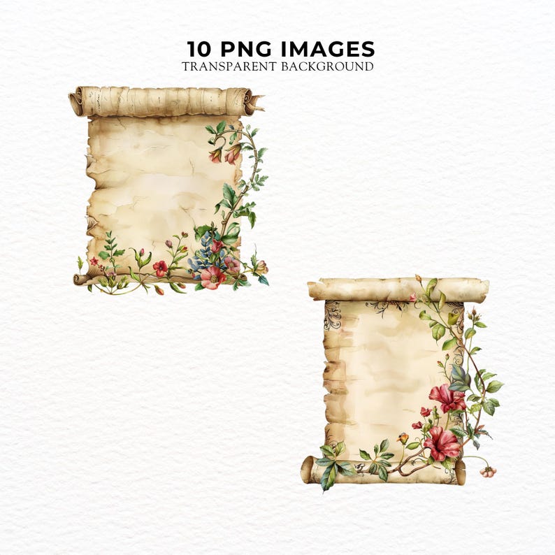 10 Medieval Scroll Clipart, Vintage Scroll, Printable Watercolor ...