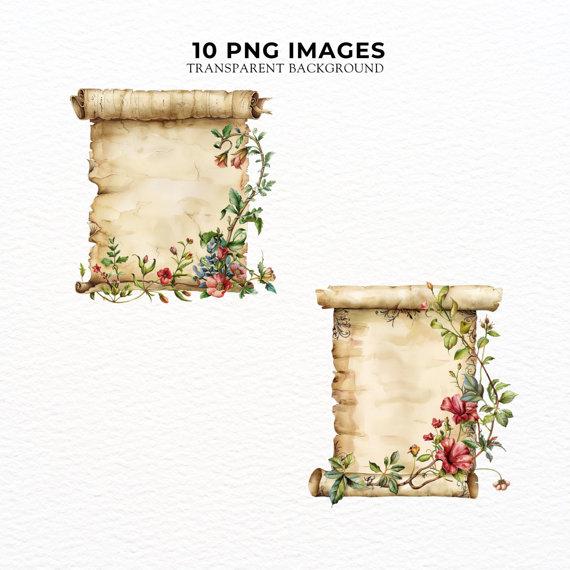 10 Medieval Scroll Clipart, Vintage Scroll, Printable Watercolor ...