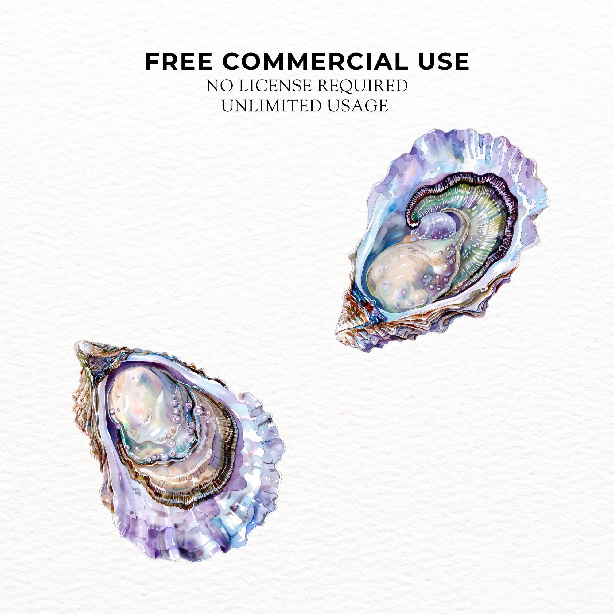 12 Watercolour Pearl Oyster Clipart PNG Ocean Pearl, Printable ...