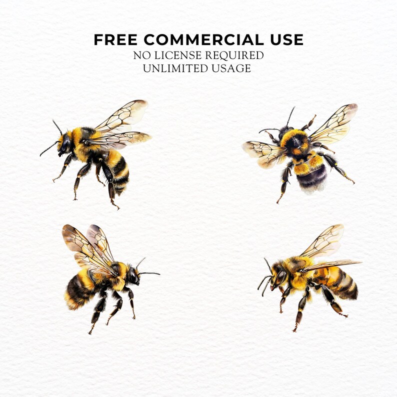 16 Honey Bees Clipart, Bees Clipart , Printable Watercolor Clipart ...