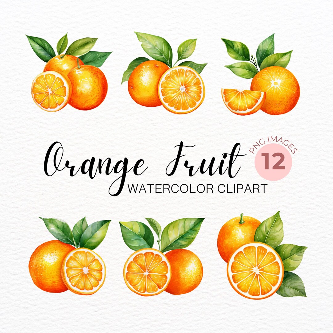 Watercolor Orange Clipart, Watercolor Oranges PNG, Printable Watercolor ...