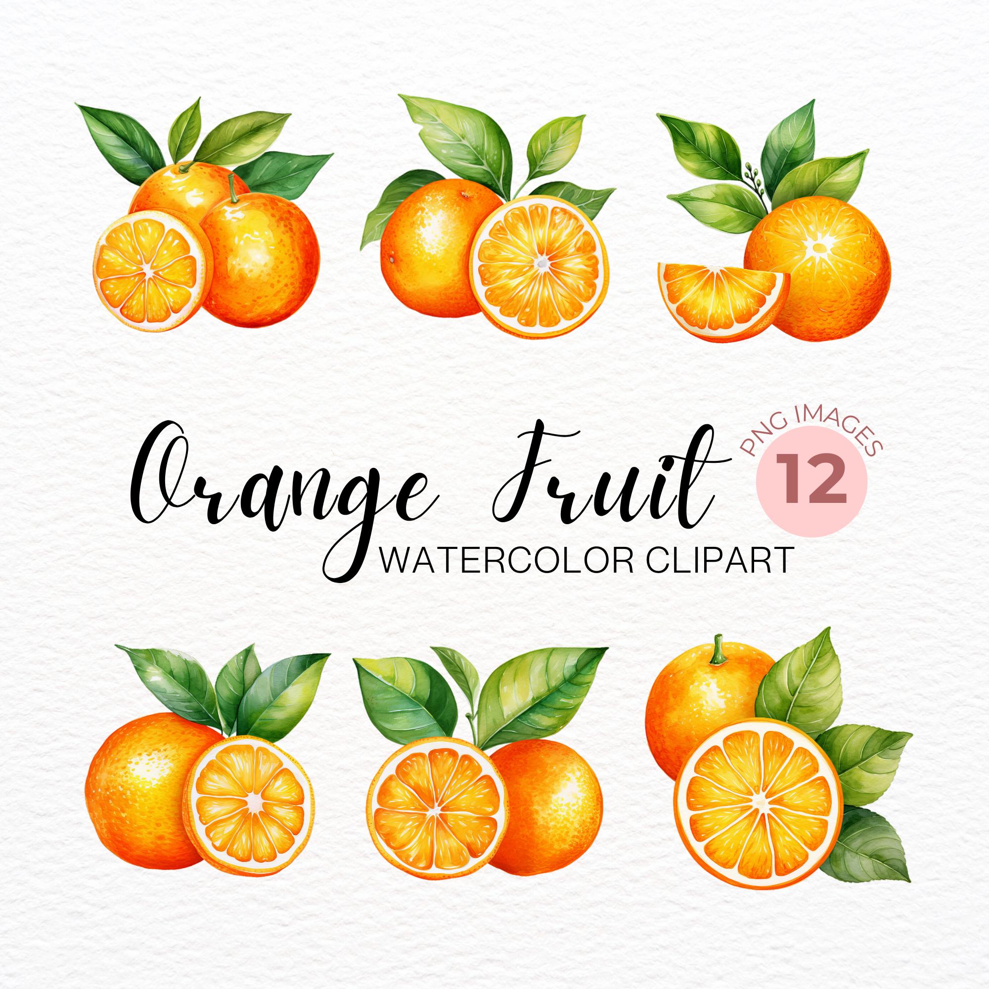 Watercolor Orange Clipart, Watercolor Oranges PNG, Printable Watercolor ...
