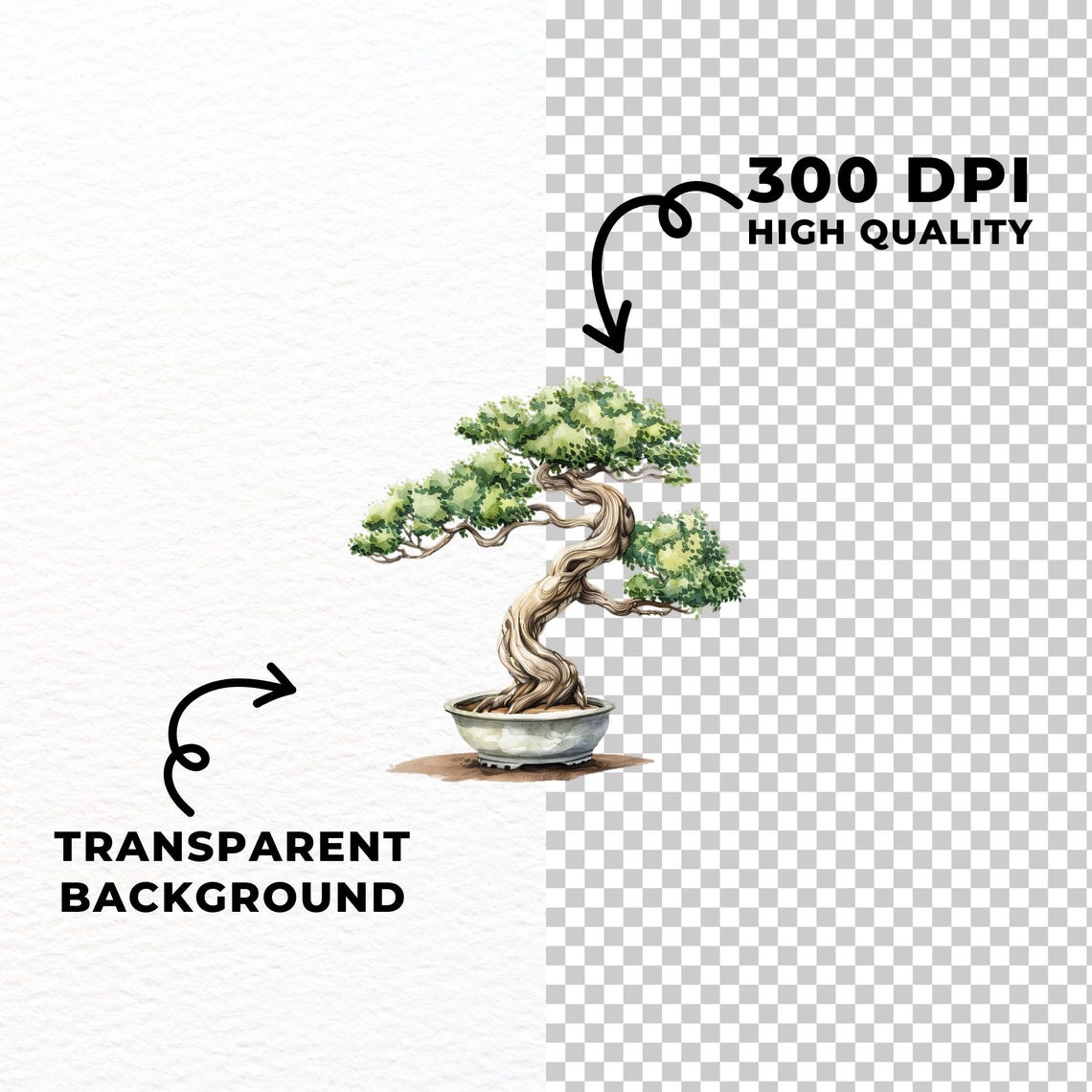 10 Bonsai Tree Clipart, Mini Tree Clipart, Printable Watercolor Clipart ...