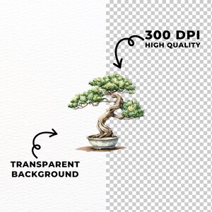 10 Bonsai Tree Clipart, Mini Tree Clipart, Printable Watercolor Clipart ...