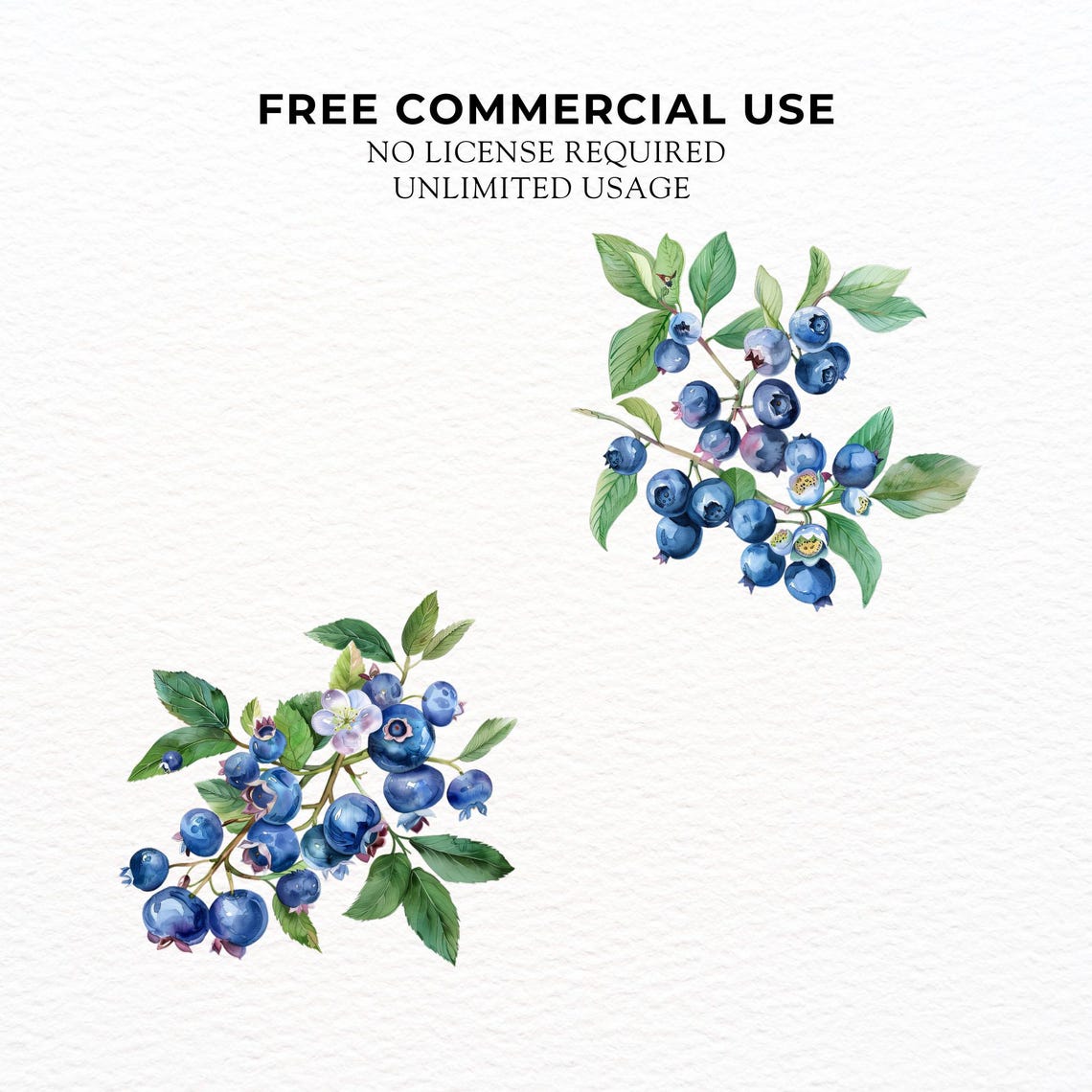 10 Blueberry Watercolor Clipart, Blueberry Clipart, Printable ...