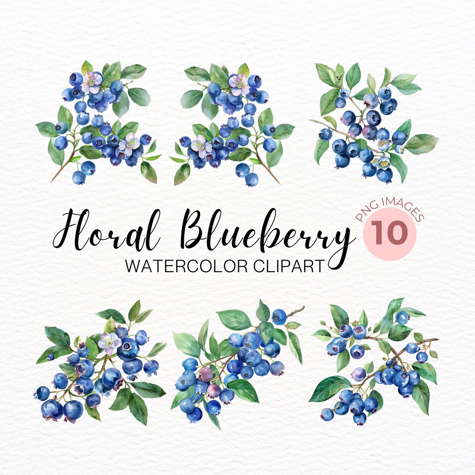 10 Blueberry Watercolor Clipart, Blueberry Clipart, Printable ...