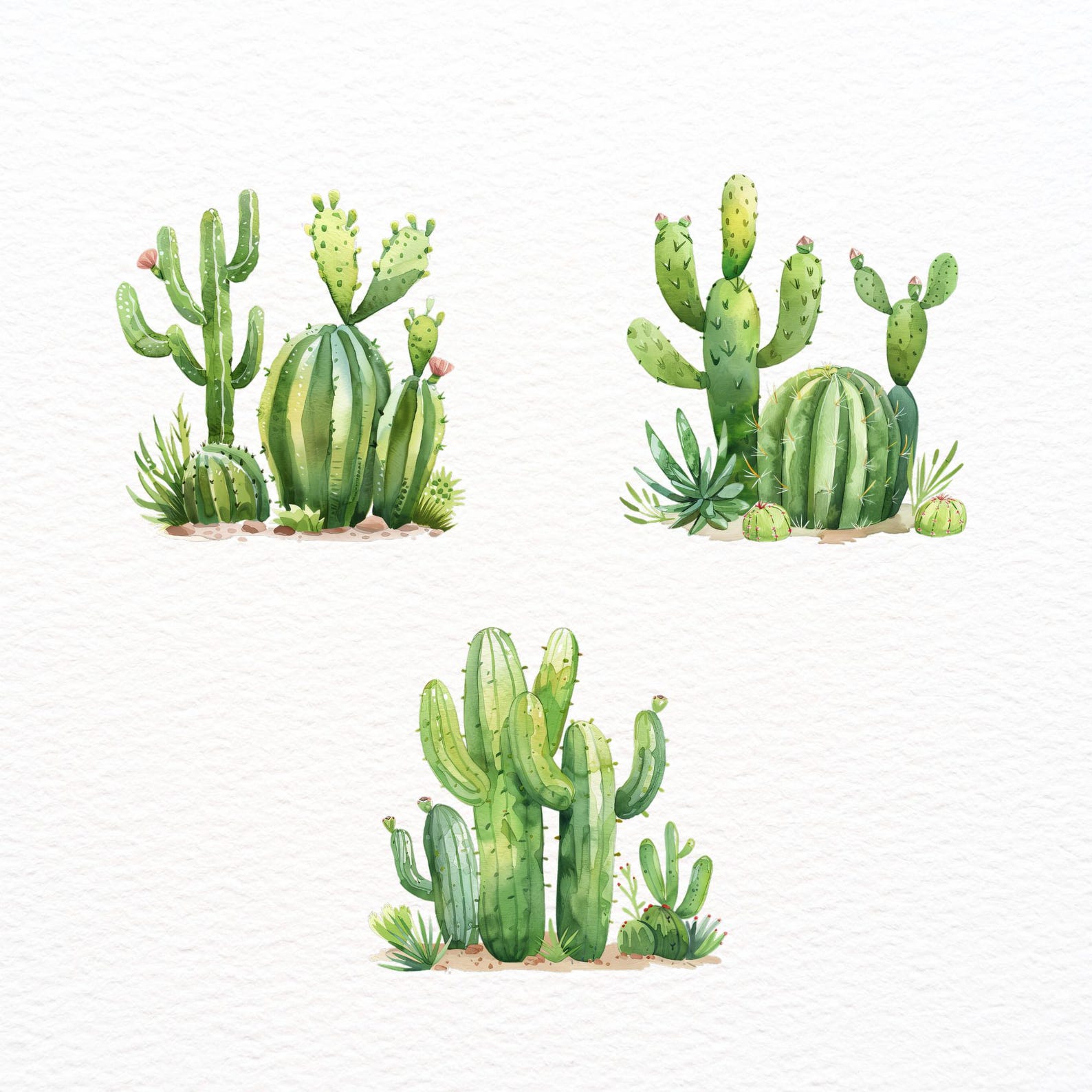 Watercolor Cactus Clipart Bundle, Desert Cactus Clipart, Printable ...