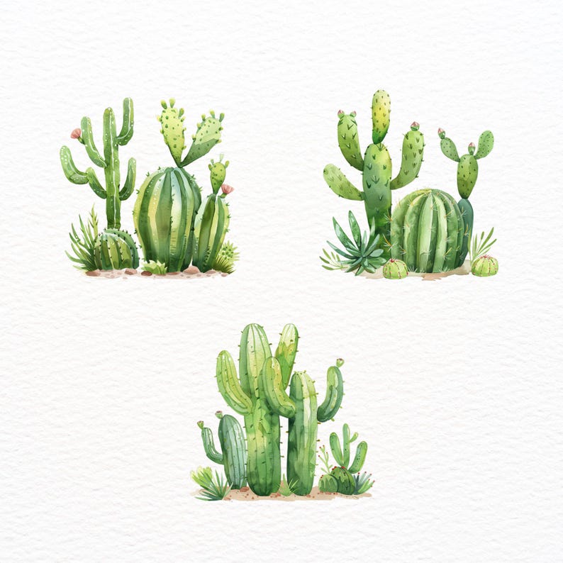 Watercolor Cactus Clipart Bundle, Desert Cactus Clipart, Printable ...