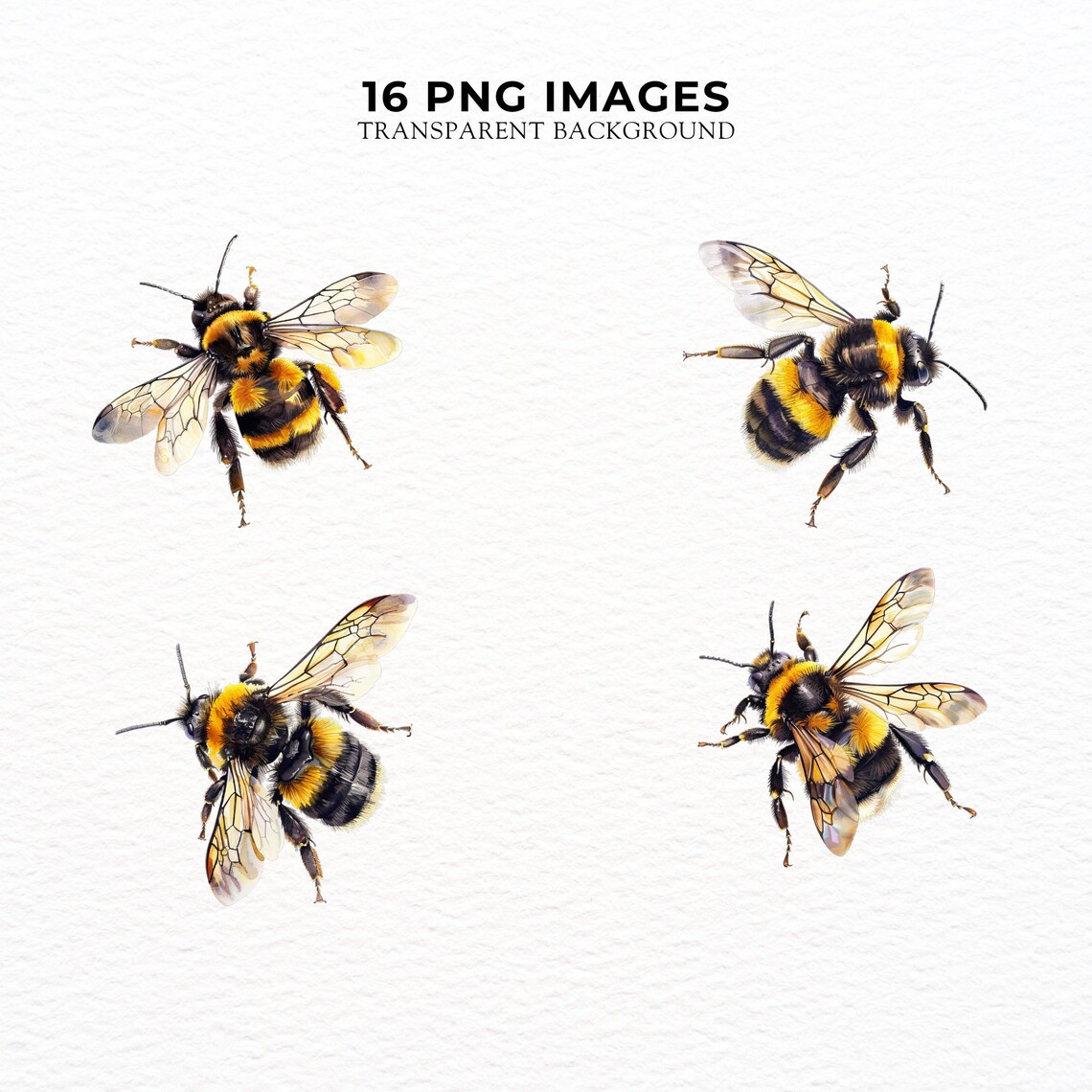 16 Honey Bees Clipart, Bees Clipart , Printable Watercolor Clipart ...