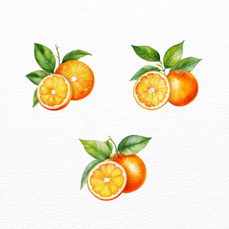 Watercolor Orange Clipart, Watercolor Oranges PNG, Printable Watercolor ...