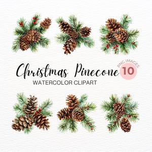 10 Watercolor Pine Cone Clipart, Pine Cone Clipart, Printable ...