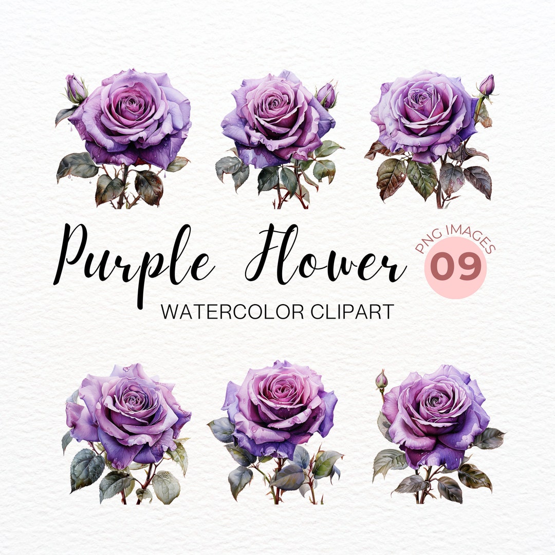 9 Purple Rose Clipart, Wedding Bridal Shower Purple Rose Flowers ...