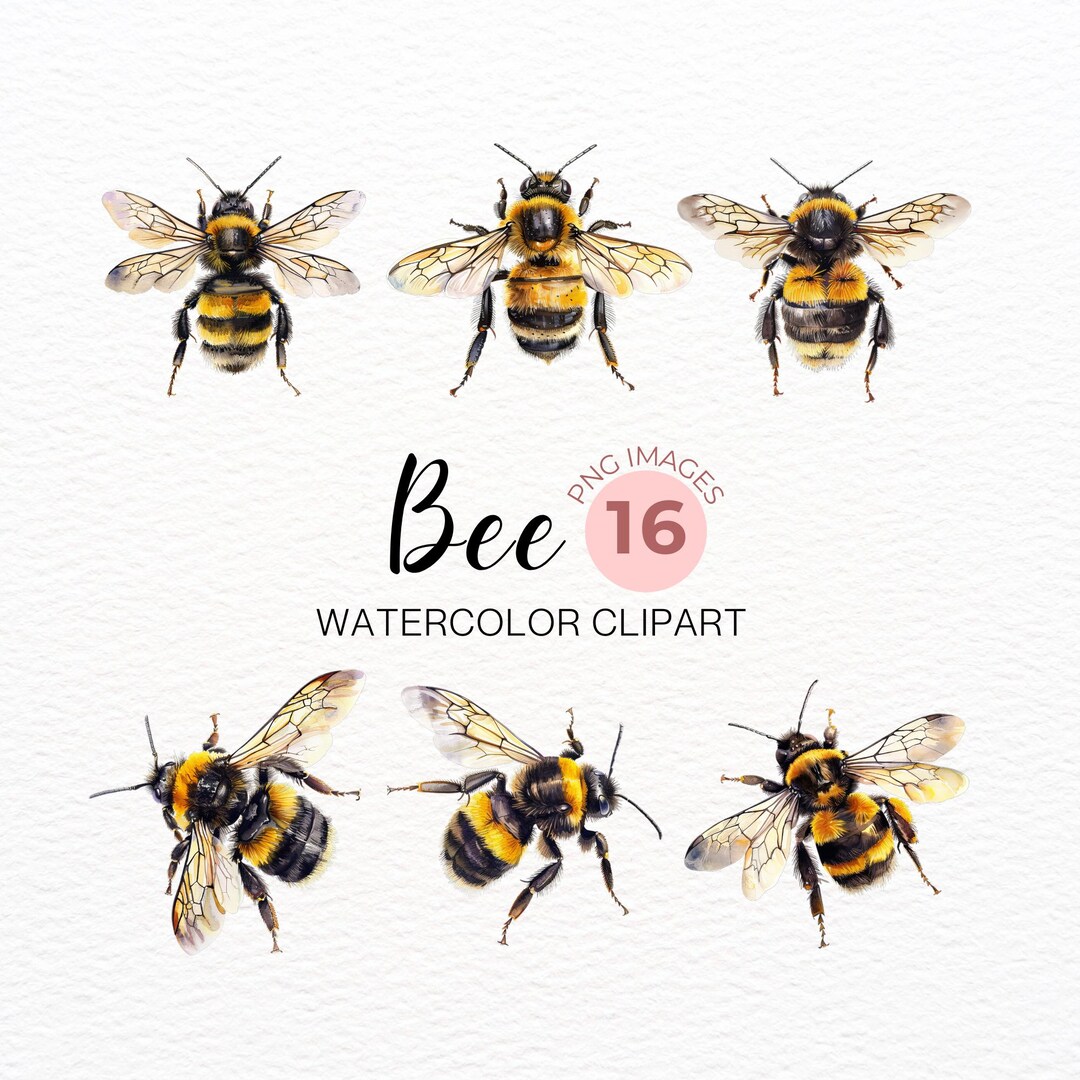 16 Honey Bees Clipart, Bees Clipart , Printable Watercolor Clipart ...