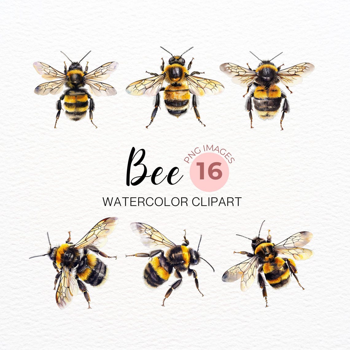 16 Honey Bees Clipart, Bees Clipart , Printable Watercolor Clipart ...