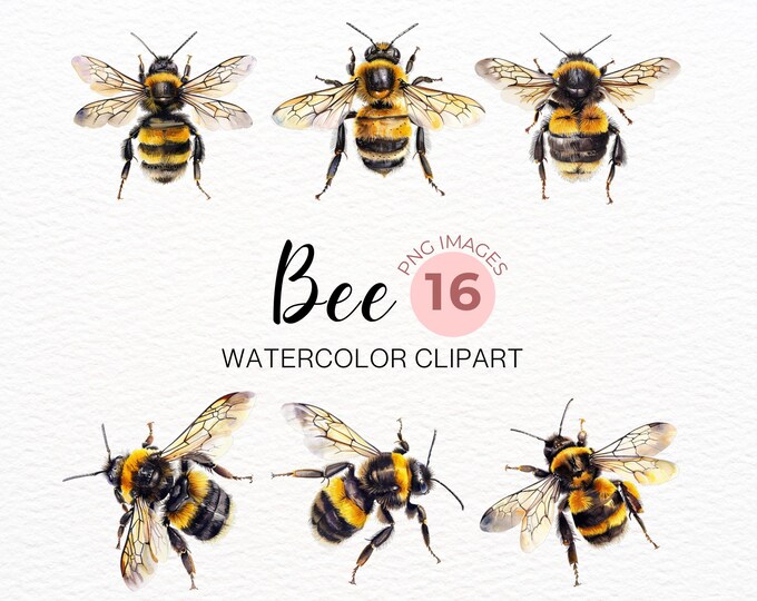 16 Honey Bees Clipart, Bees Clipart , Printable Watercolor Clipart ...