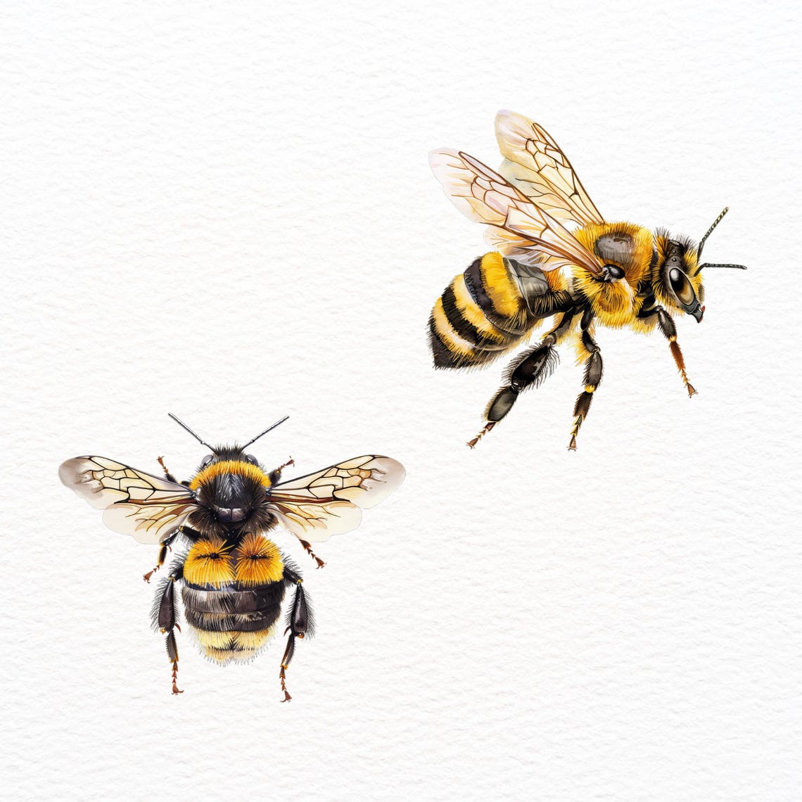 16 Honey Bees Clipart, Bees Clipart , Printable Watercolor Clipart ...