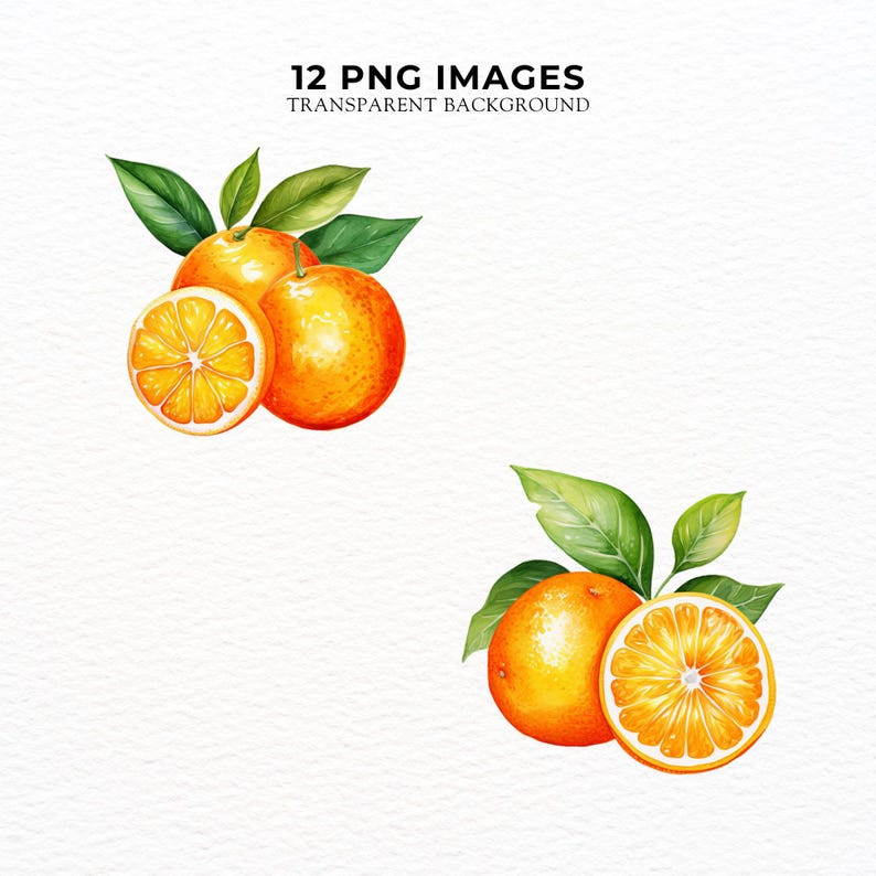 Watercolor Orange Clipart, Watercolor Oranges PNG, Printable Watercolor ...