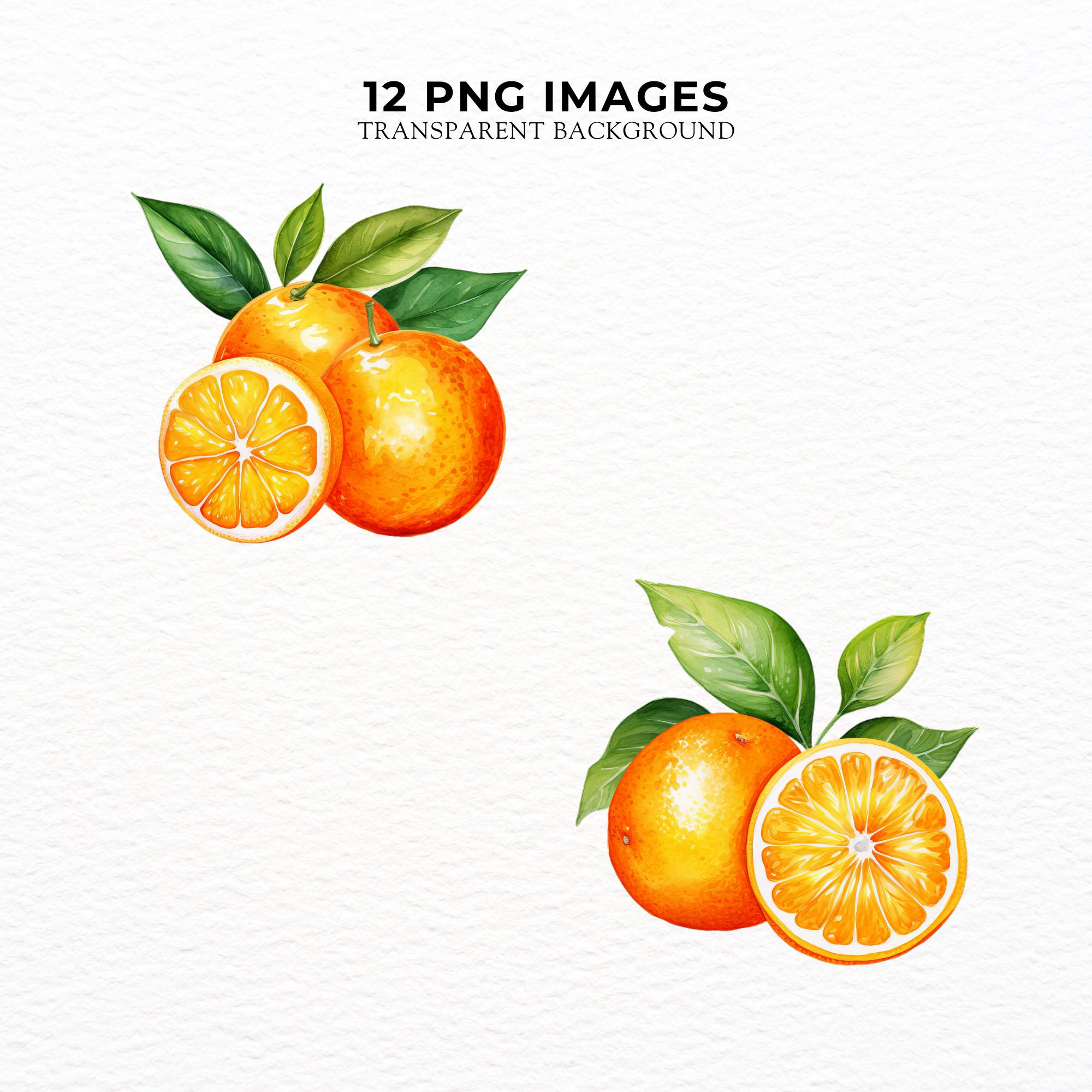Watercolor Orange Clipart, Watercolor Oranges PNG, Printable Watercolor ...