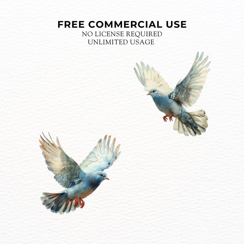 12 White Dove Clipart, Watercolor White Dove Clipart, Printable ...