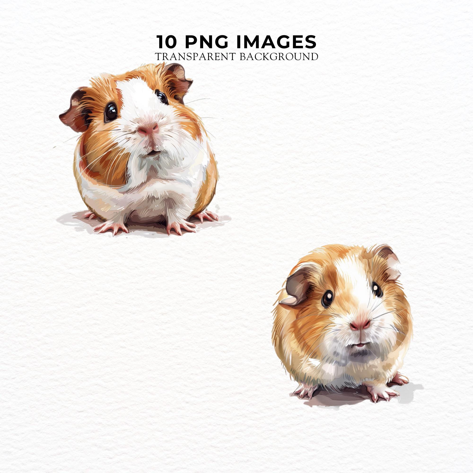 Guinea Pig Clipart, Guinea Pig Bundle, Printable Watercolor Clipart ...