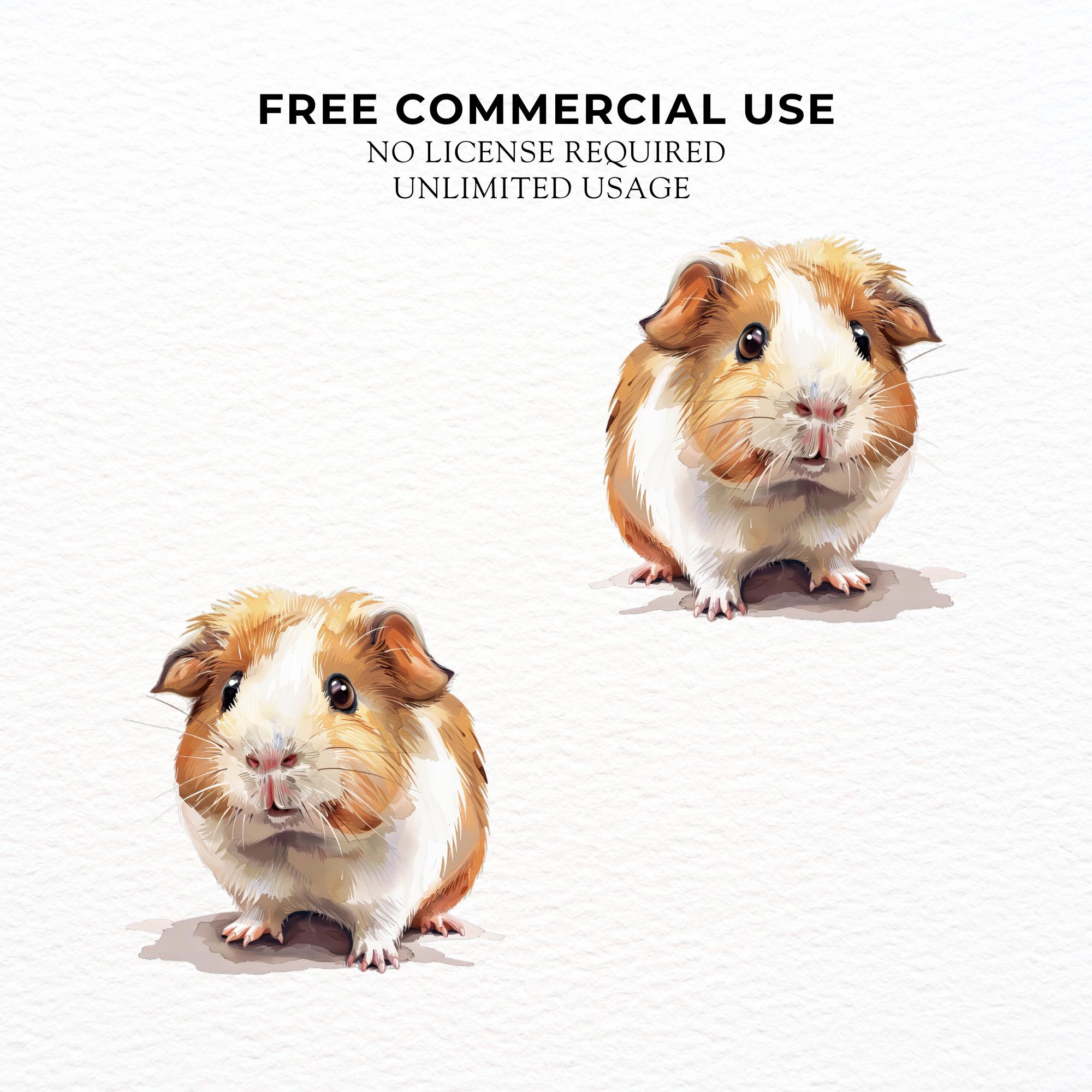 Guinea Pig Clipart, Guinea Pig Bundle, Printable Watercolor Clipart ...