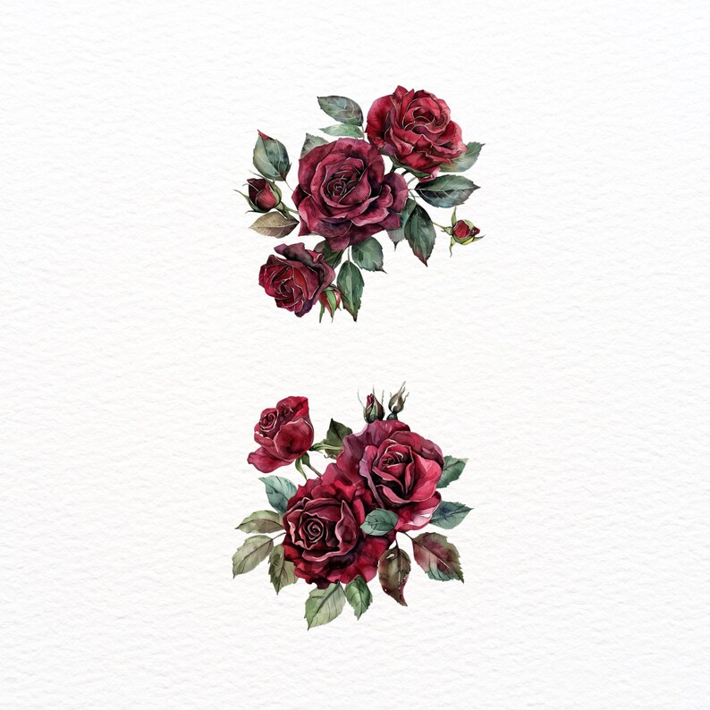 11 Watercolor Burgundy Roses Clipart, Watercolor Rose Floral Clipart ...