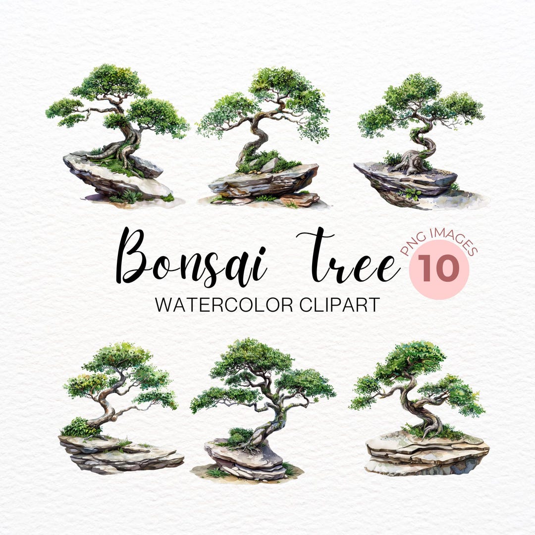 10 Bonsai Tree Clipart, Botanical Mini Tree Images, Printable ...