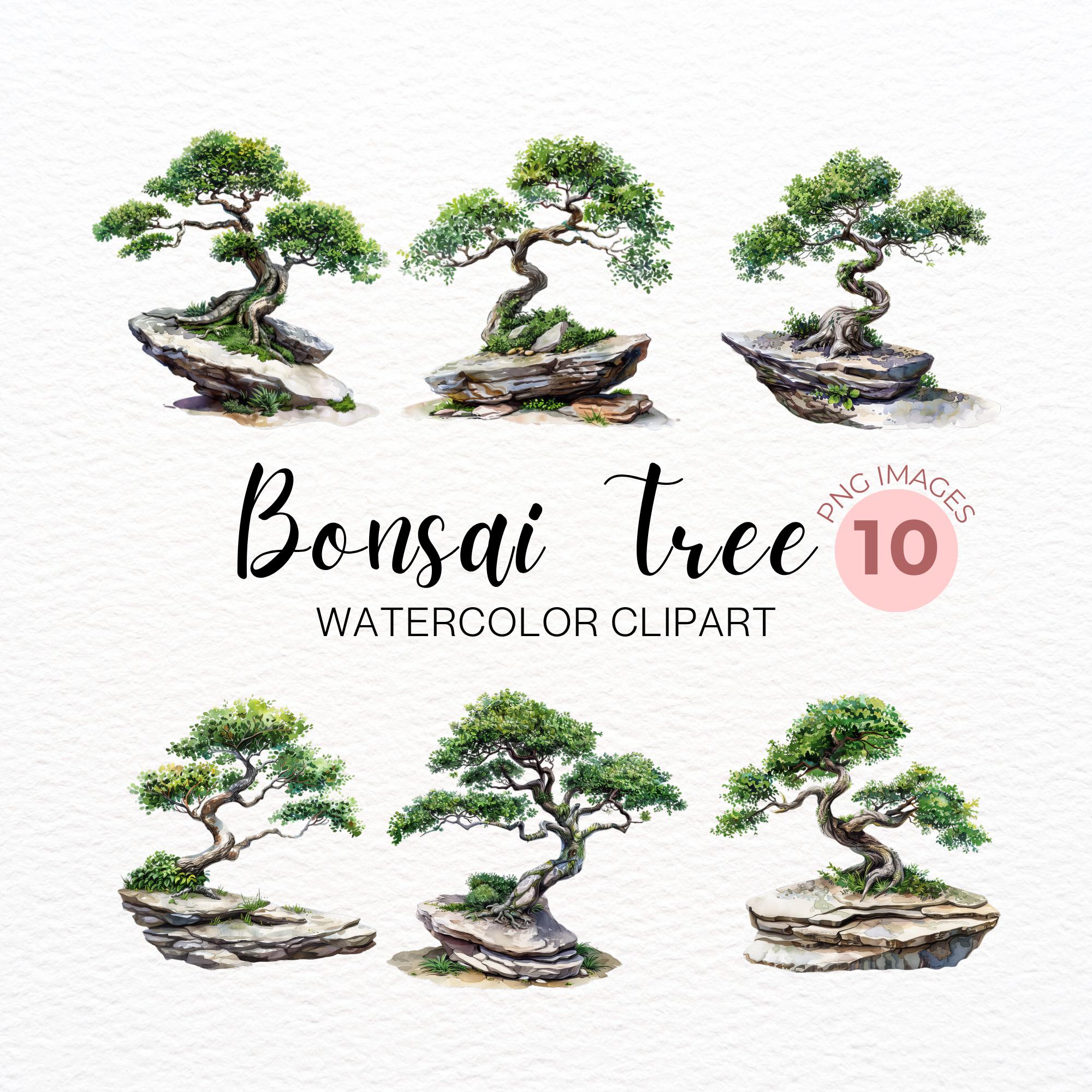 10 Bonsai Tree Clipart, Botanical Mini Tree Images, Printable ...