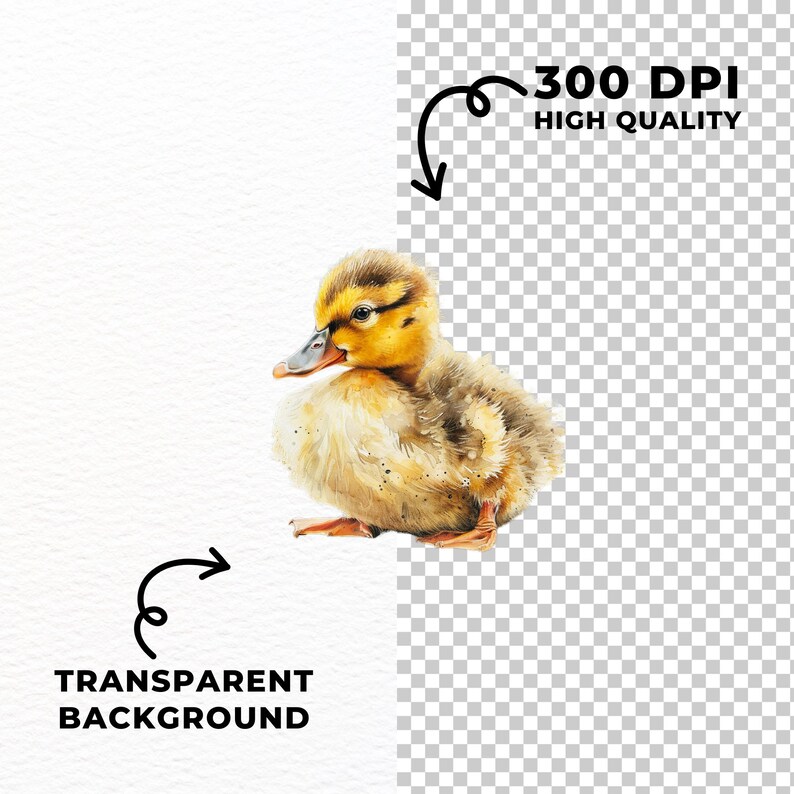 10 Fluffy Ducklings Clipart, Cute Ducks Images, Printable Watercolor ...