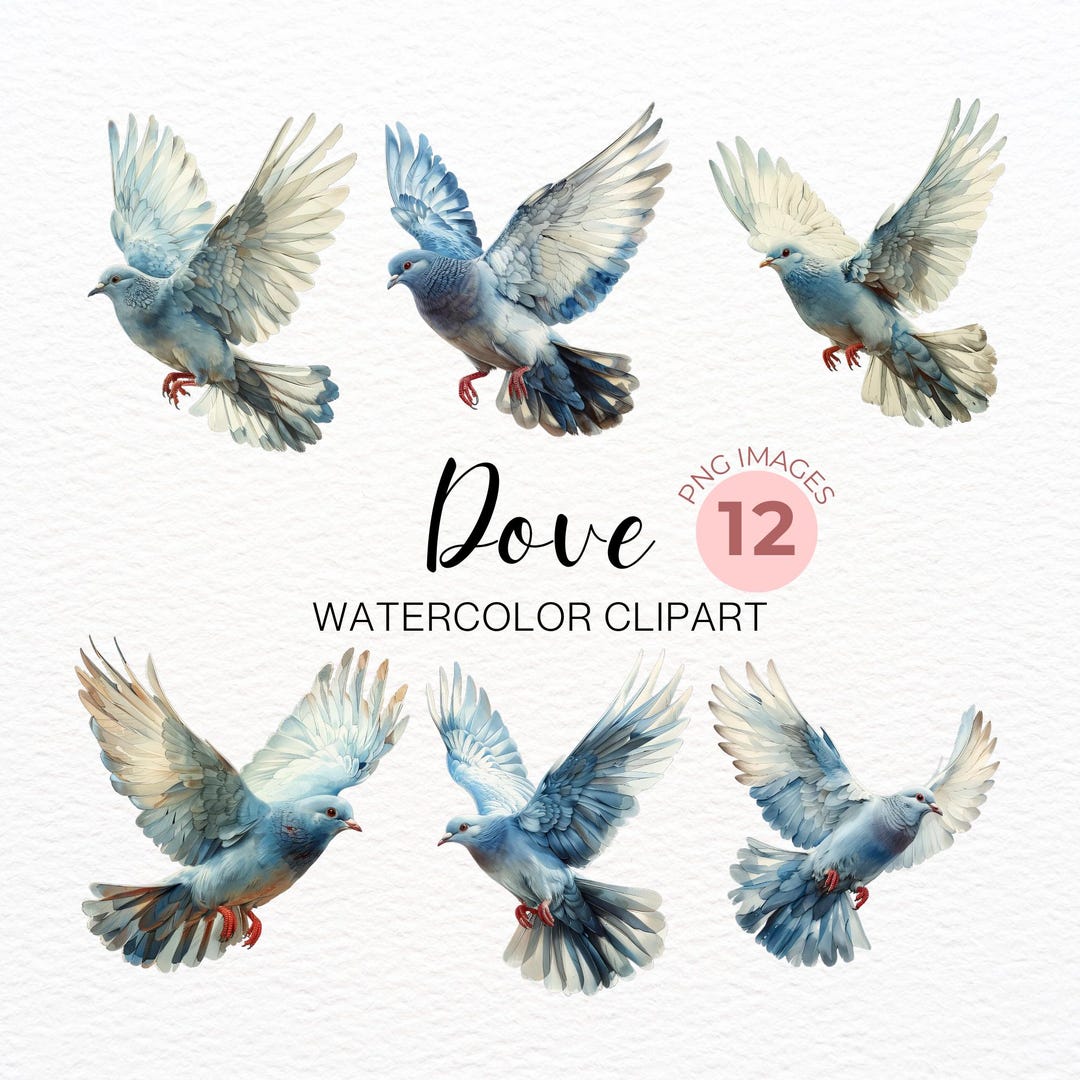 12 White Dove Clipart, Watercolor White Dove Clipart, Printable ...