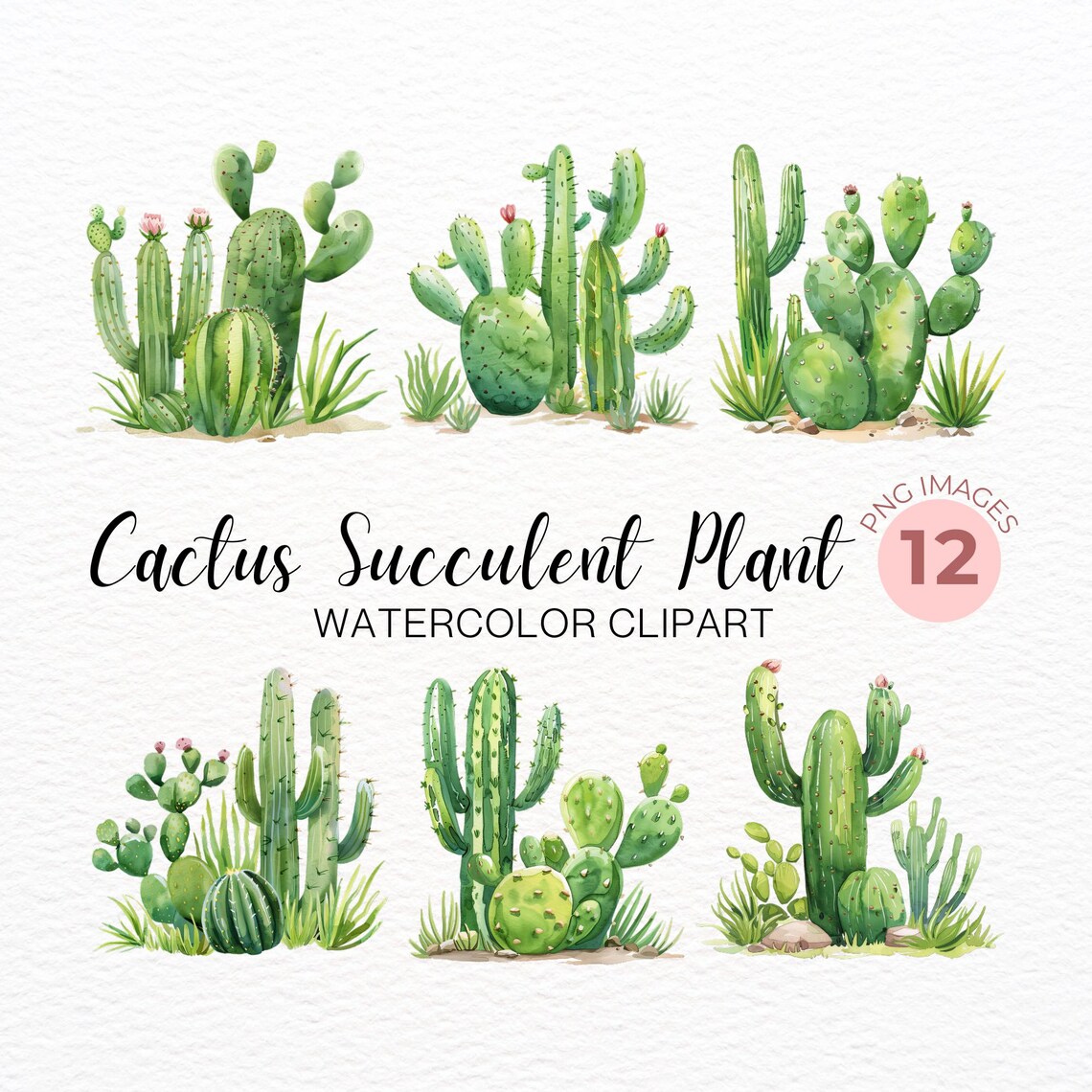 Watercolor Cactus Clipart Bundle, Desert Cactus Clipart, Printable ...