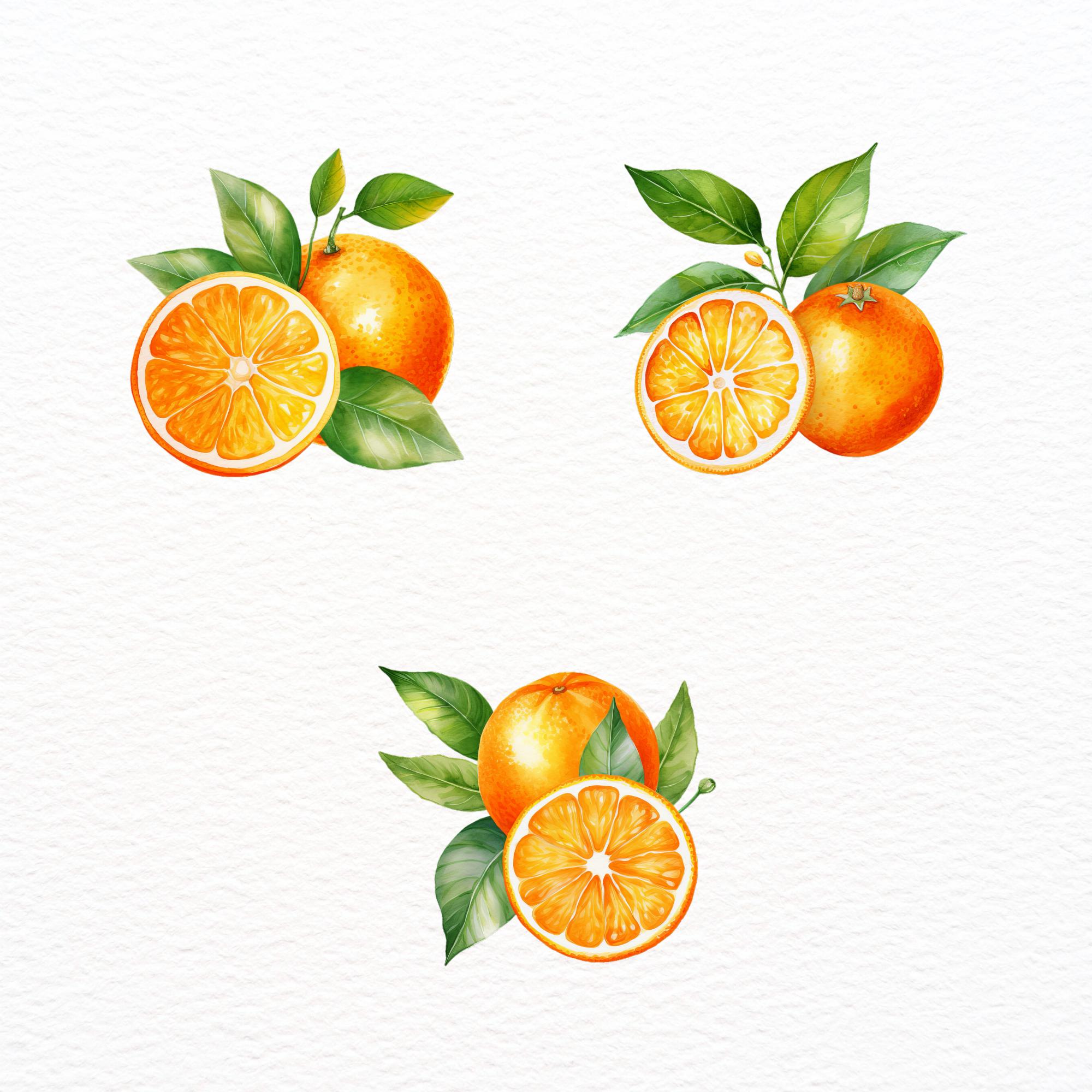 Watercolor Orange Clipart, Watercolor Oranges PNG, Printable Watercolor ...
