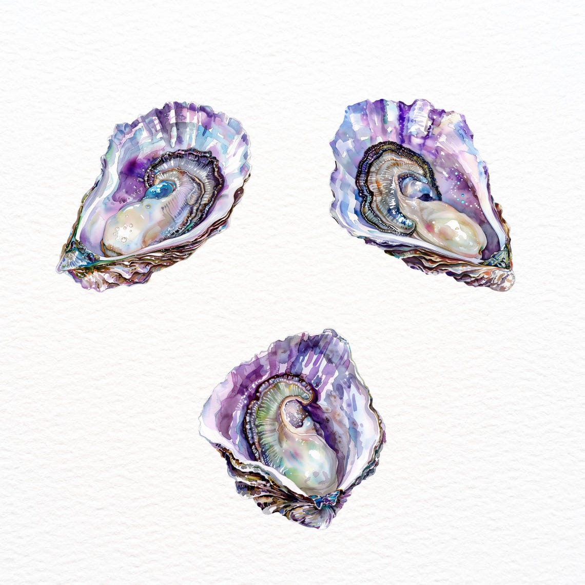 12 Watercolour Pearl Oyster Clipart PNG Ocean Pearl, Printable ...