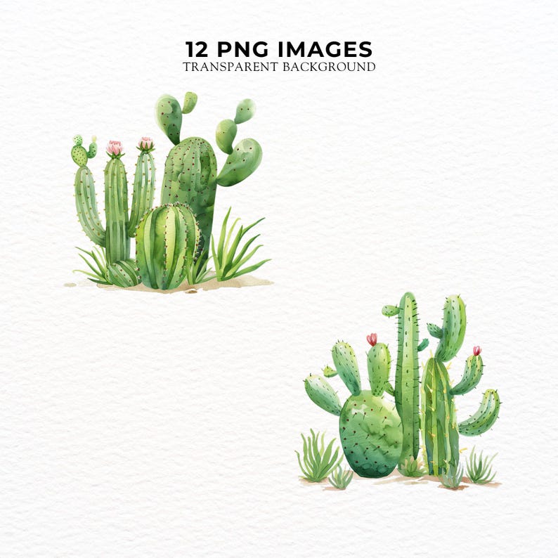 Watercolor Cactus Clipart Bundle, Desert Cactus Clipart, Printable ...