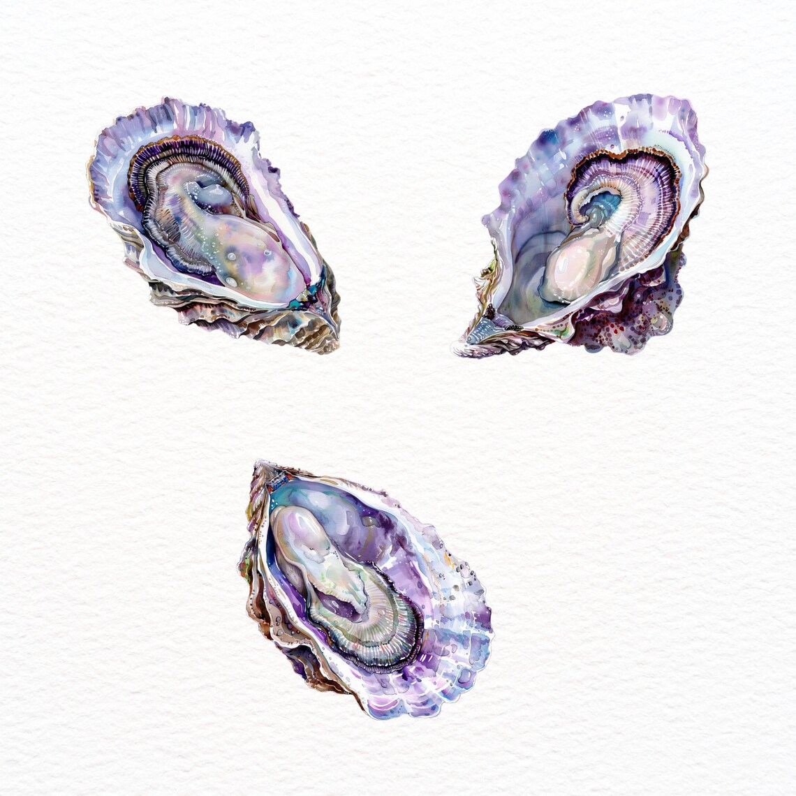12 Watercolour Pearl Oyster Clipart PNG Ocean Pearl, Printable ...