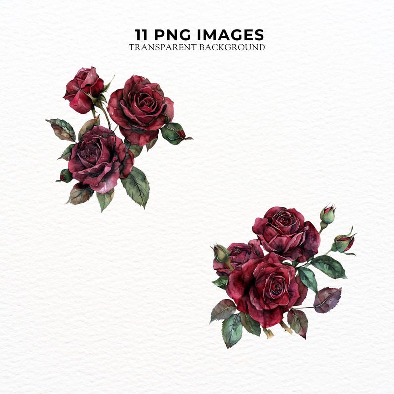 11 Watercolor Burgundy Roses Clipart, Watercolor Rose Floral Clipart ...
