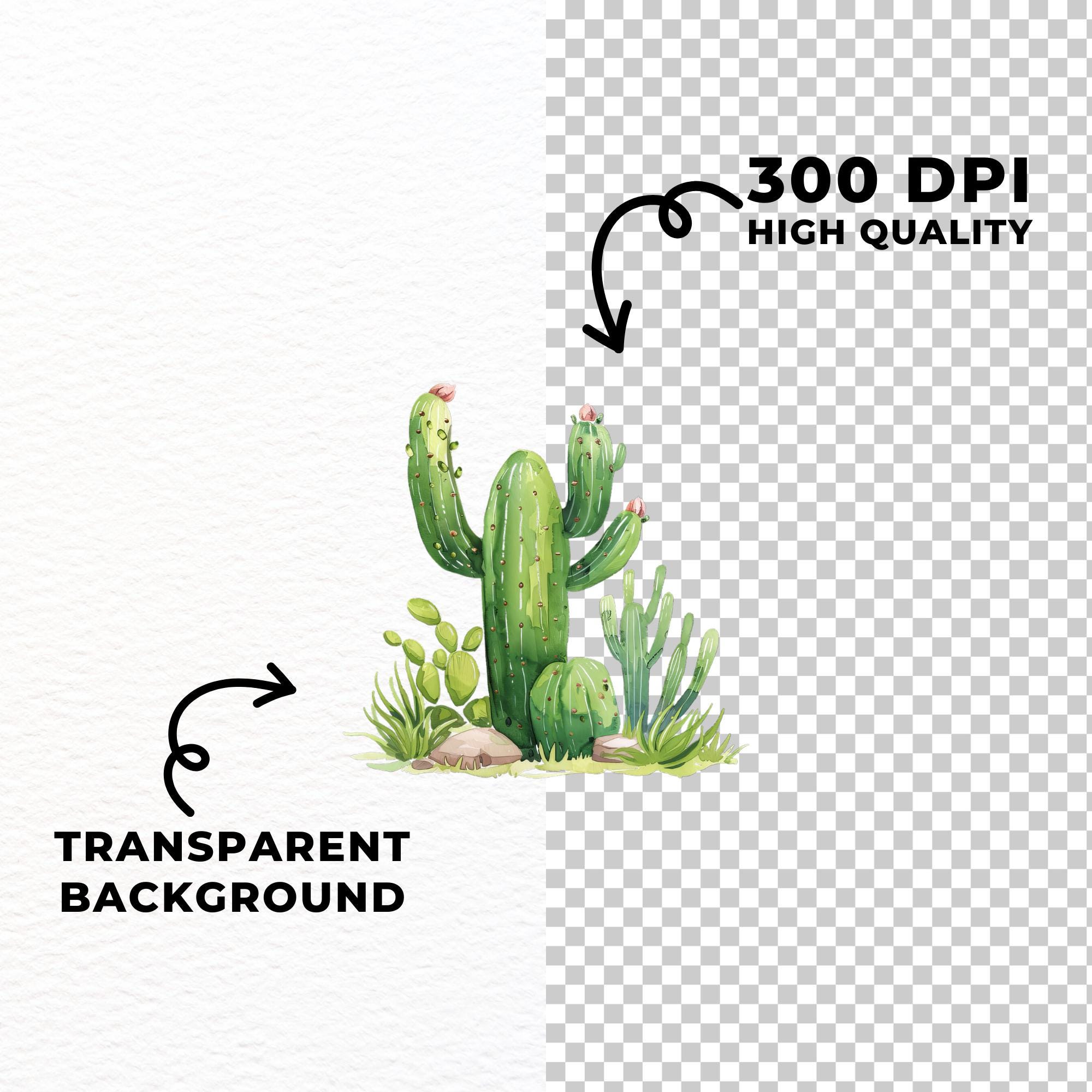 Watercolor Cactus Clipart Bundle, Desert Cactus Clipart, Printable ...