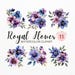 11 Watercolor Royal Flowers PNG Clipart, Fantasy Floral Clip Art ...