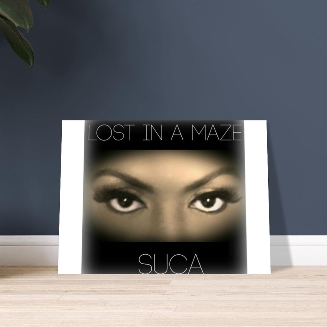Lost in A Maze Album Cover of Single by Suca the Veiled Princess - Etsy