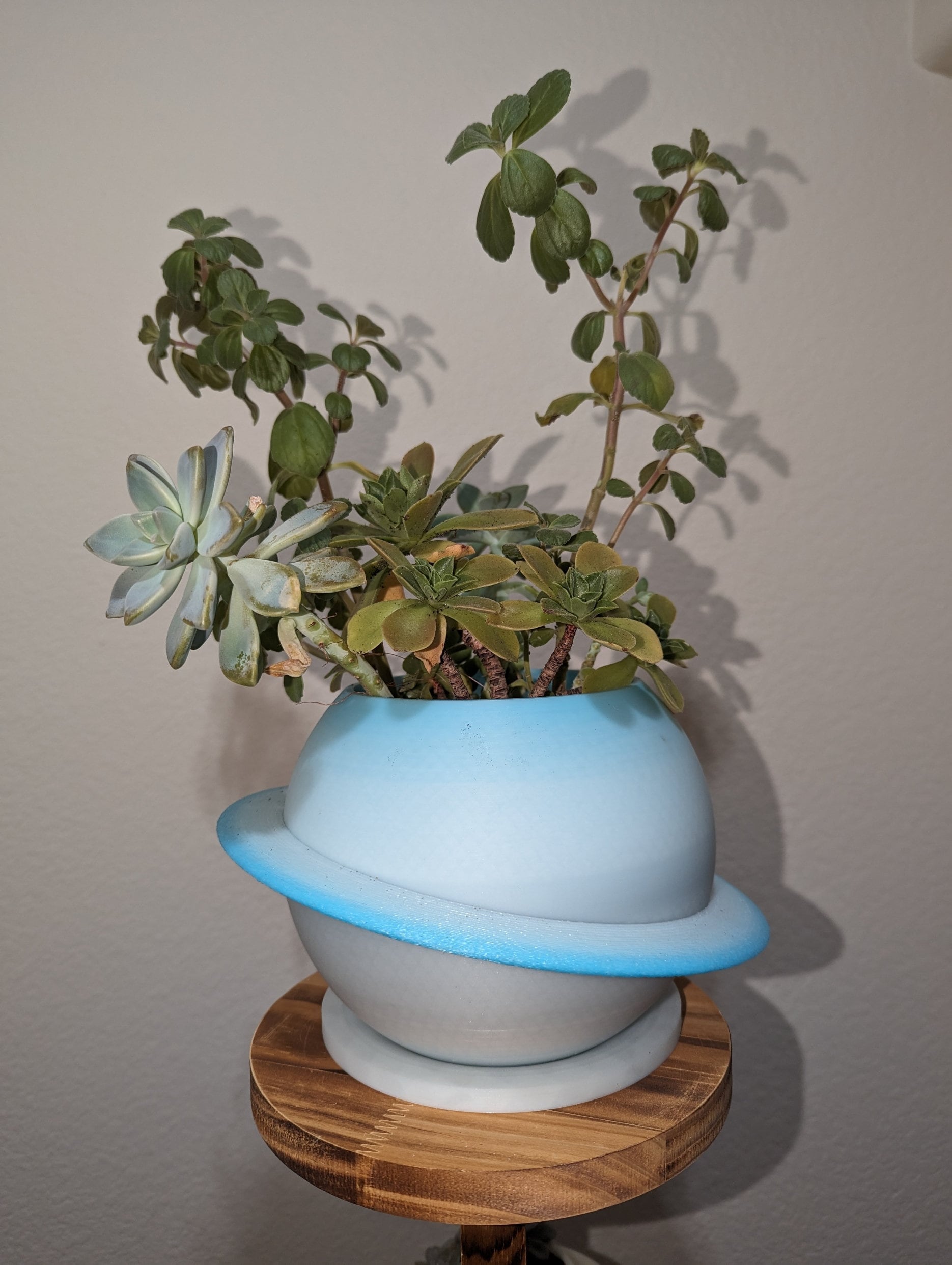 Small Planet Planter Unique Cosmic Pot Dreamy Celestial Plant Pot Space ...