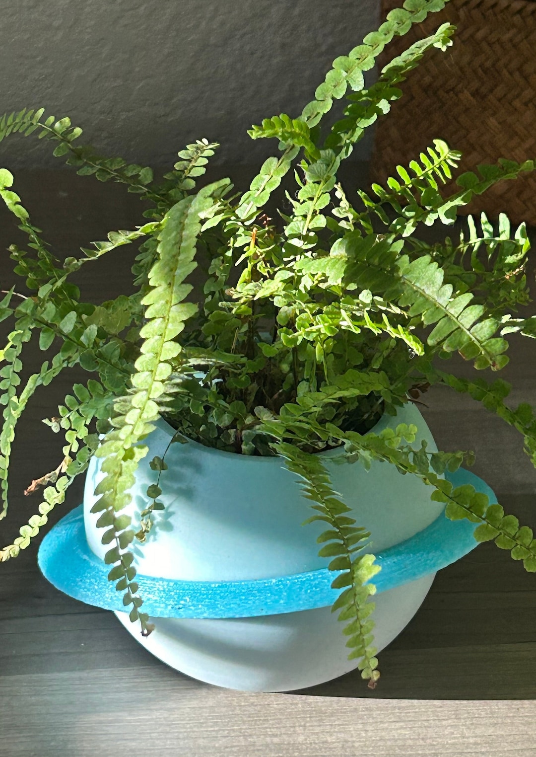 Small Planet Planter | Unique Cosmic Pot | Dreamy Celestial Plant Pot ...